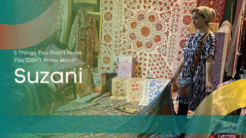 5 Things You Didn’t Know You Didn’t Know about Suzani – HoonArts